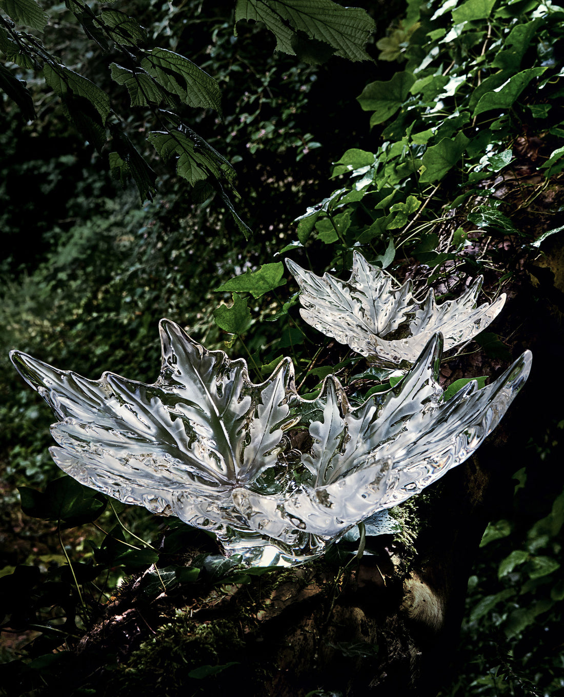 Iconic decorative objects – Lalique North America