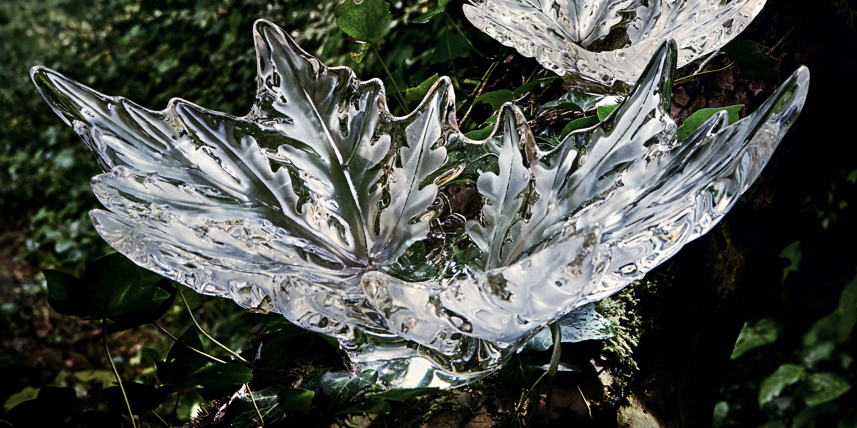 Iconic decorative objects – Lalique North America
